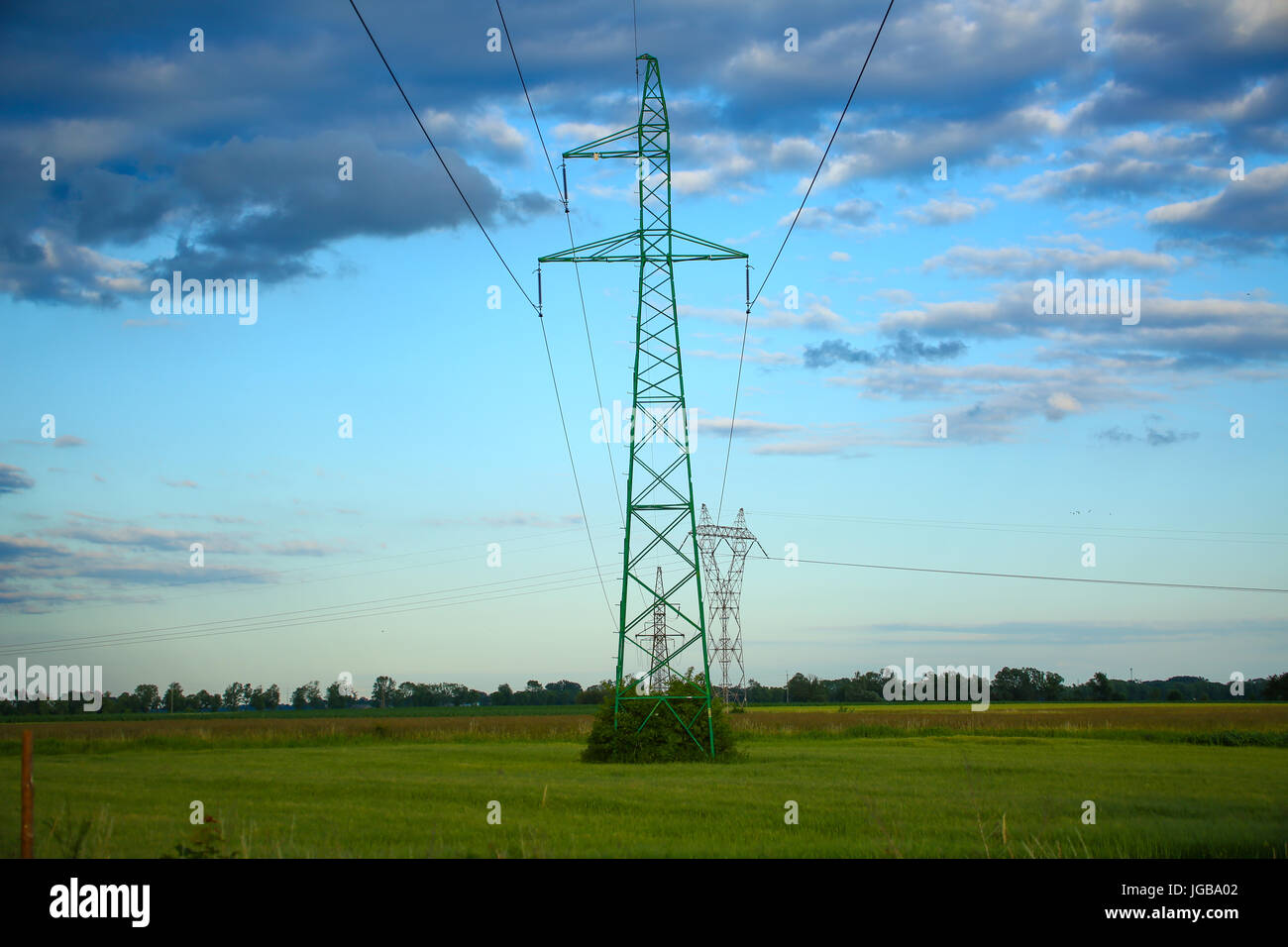 Electricity power lines in rural landscape Stock Photo - Alamy