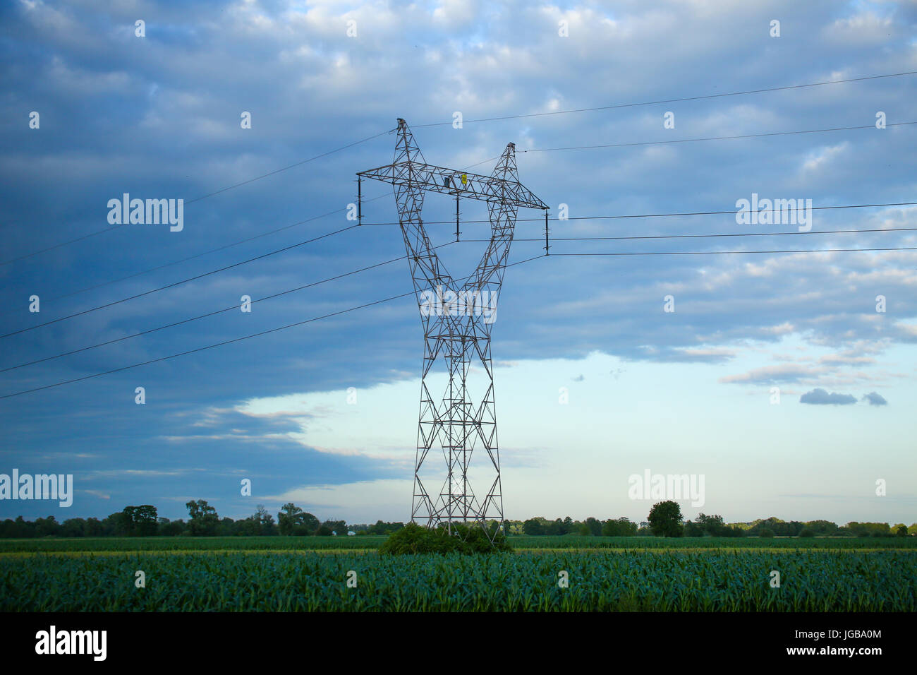 Electricity power lines in rural landscape Stock Photo - Alamy