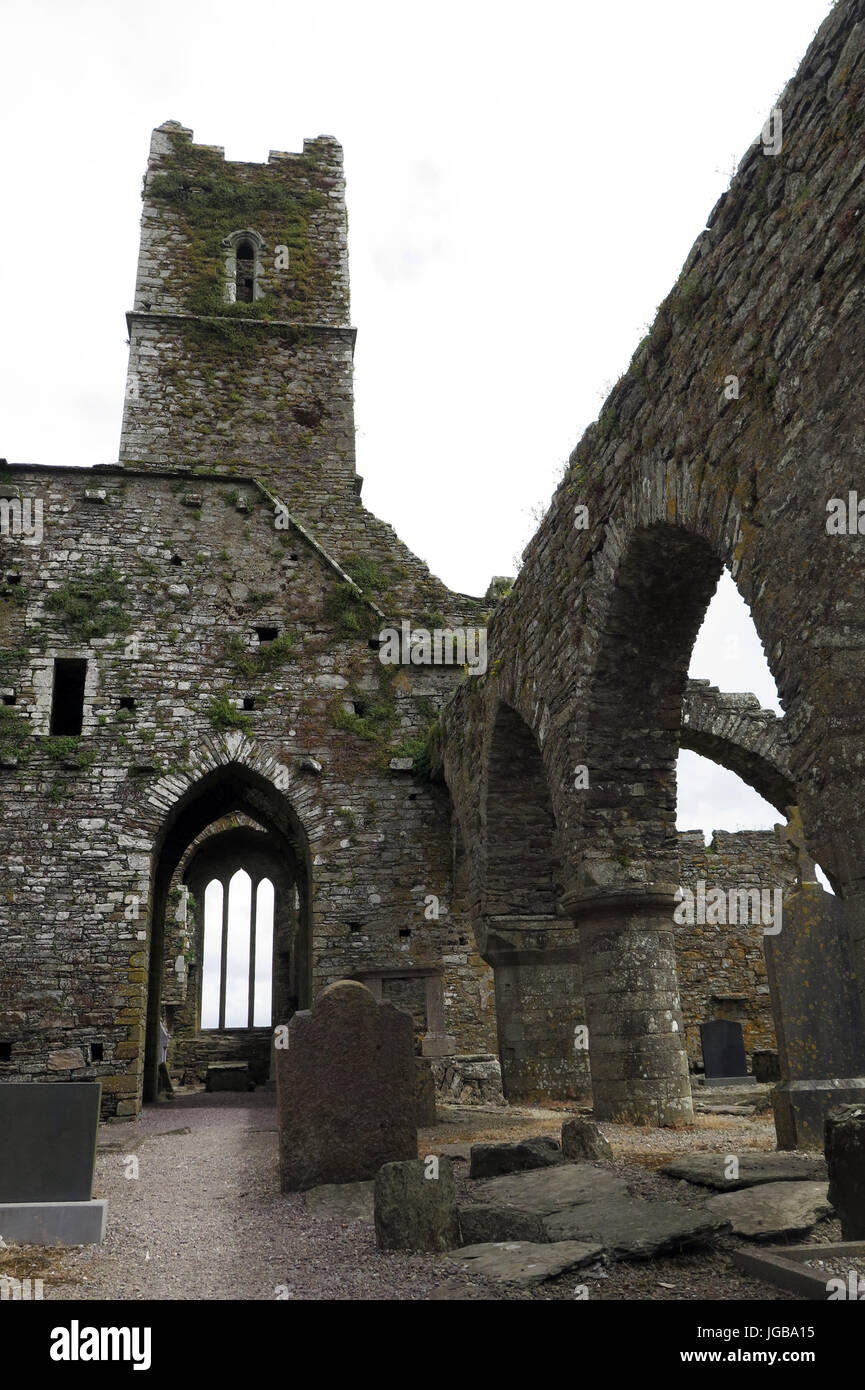 Timoleague Friary, Timoleague, Ireland, IE Stock Photo - Alamy