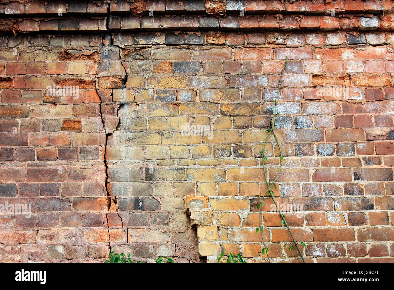 Turnt Up In The Bricks