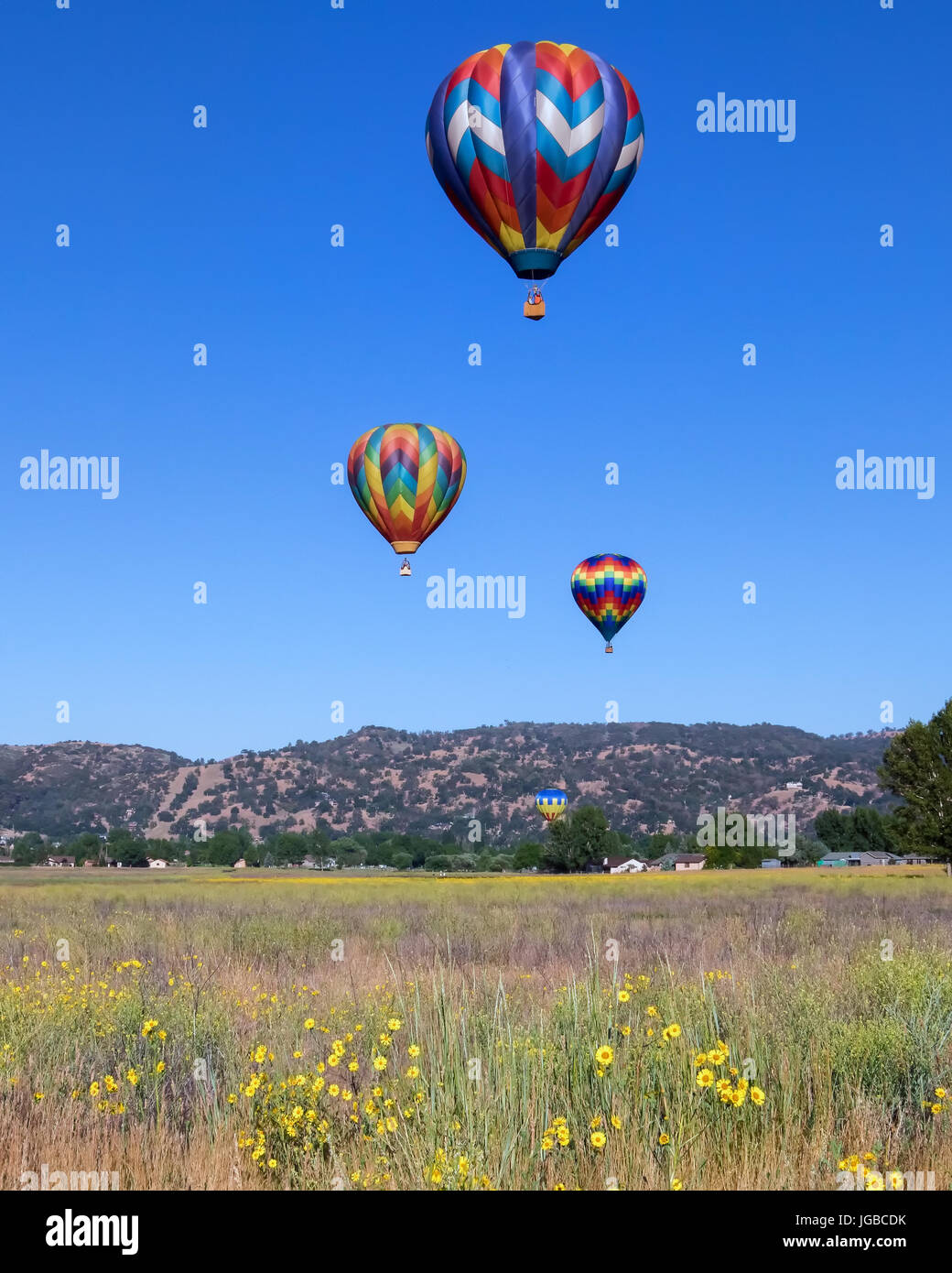 Hot Air Balloons At The Bear Valley Springs Hot Air Balloon Festival