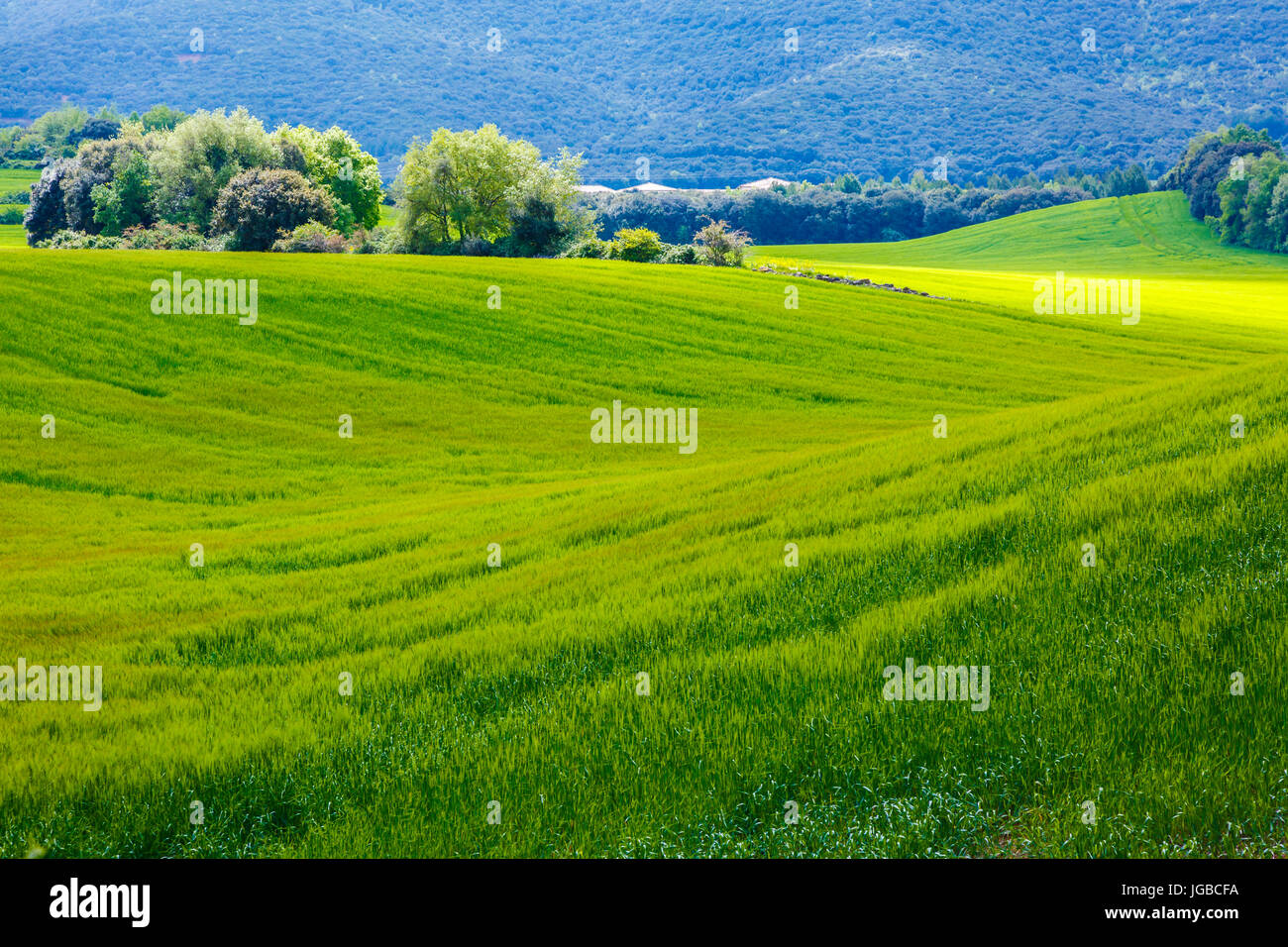 Crop landscapes hi-res stock photography and images - Alamy
