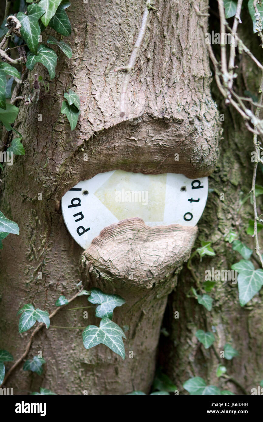 Public sign on tree Stock Photo - Alamy