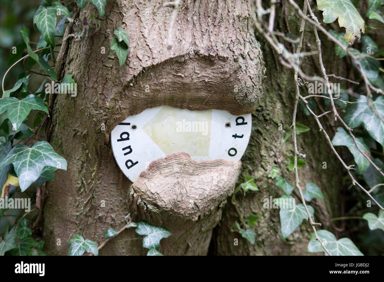 Public sign on tree Stock Photo - Alamy