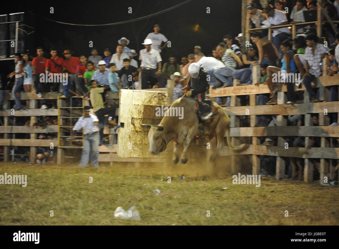 A bull rider exits the gate during the bull festival in Nicoya, Costa ...