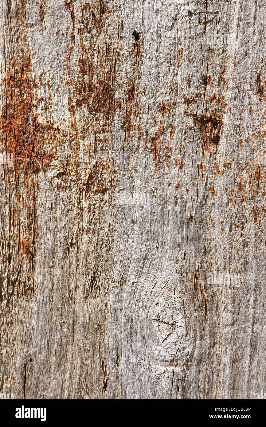 Old rusty wood Stock Photo - Alamy