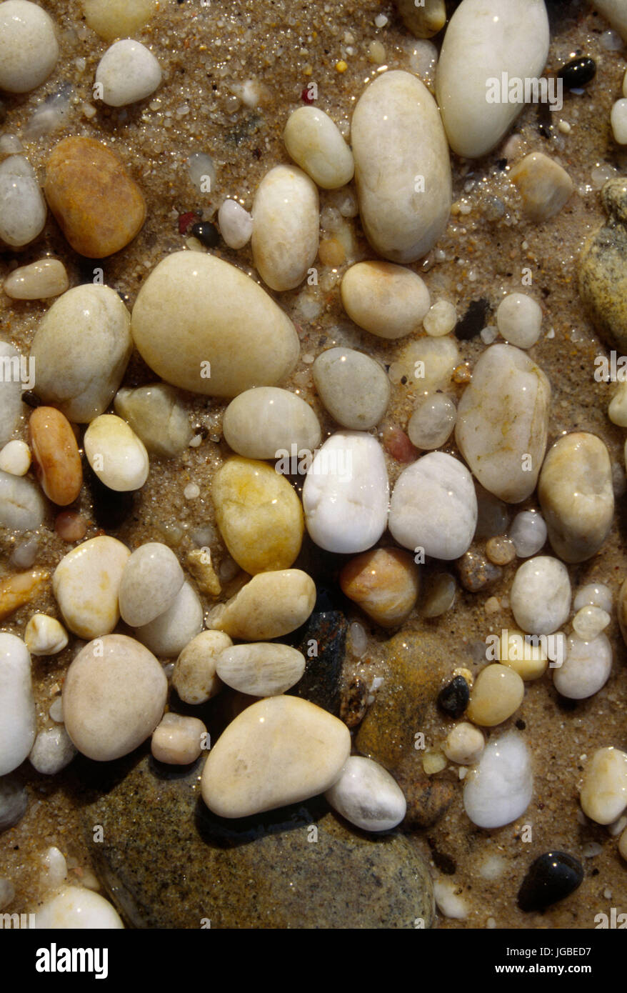 Beach gravel, Southold Town Beach, Southold, New York Stock Photo - Alamy