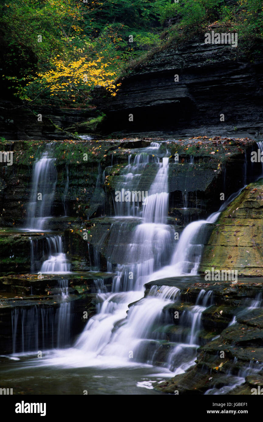 Cascade on Enfield Creek, Robert H Treman State Park, New York Stock ...