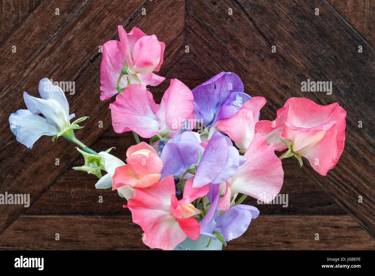 Sweet peas hi-res stock photography and images - Alamy