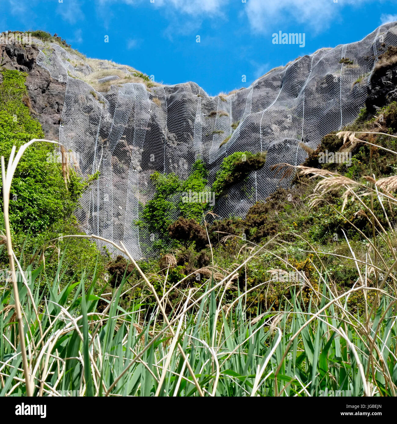 Metal mesh on basalt cliffs at Blackhead, County Antrim Stock Photo - Alamy