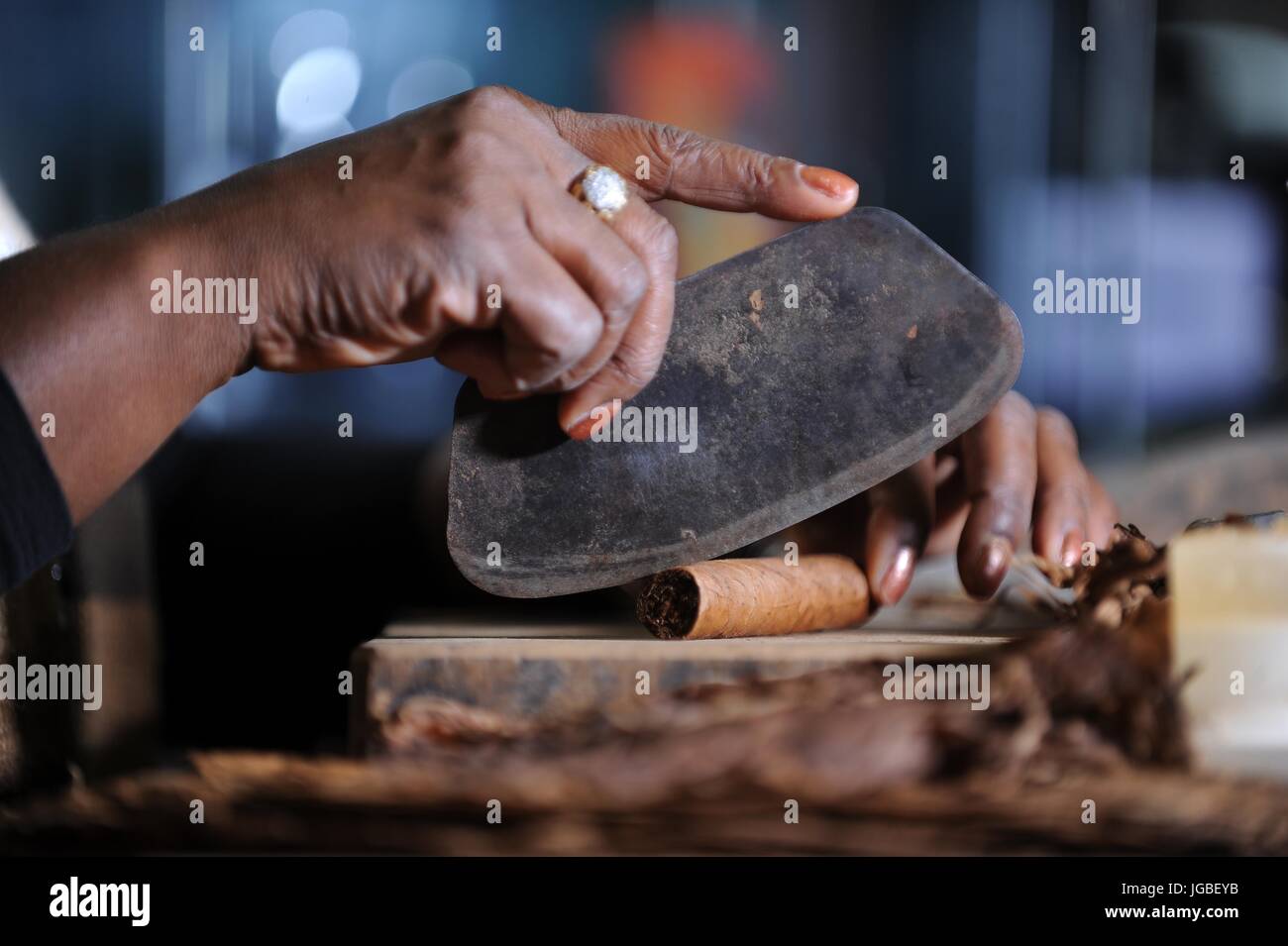 Woman cuban cigars rolling hi-res stock photography and images - Alamy