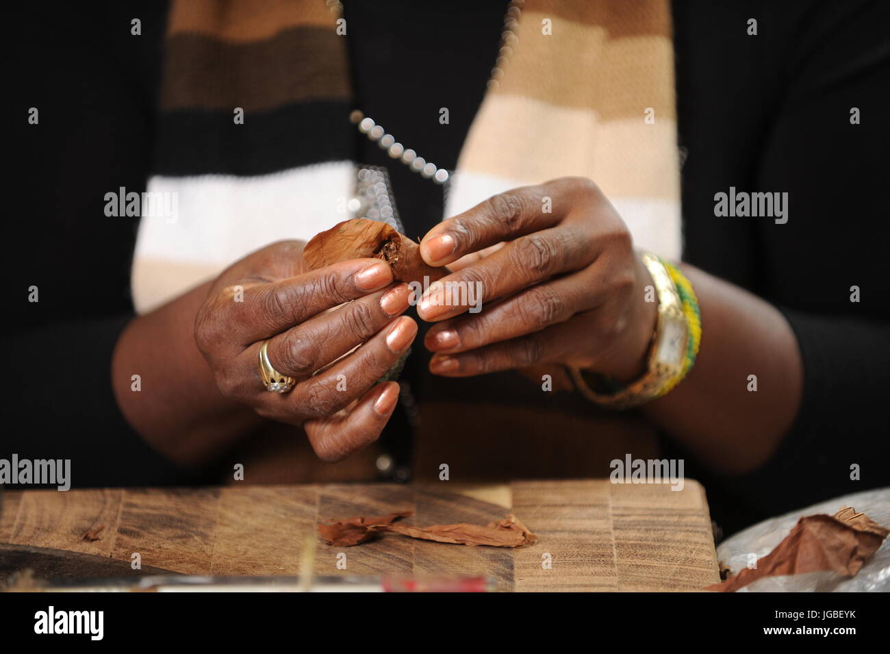A black woman rolling cuban style cigars in a traditional, old ...