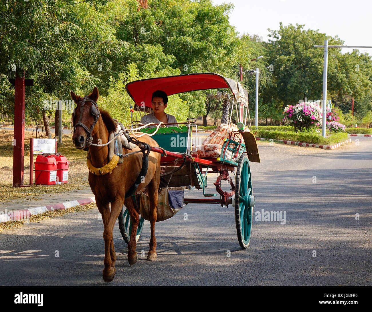 Running horse in bagan myanmar hi-res stock photography and images - Alamy