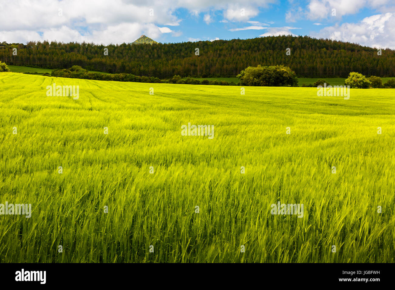 Crop landscapes hi-res stock photography and images - Alamy