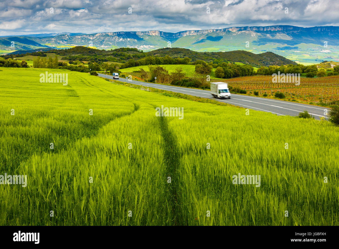 Cereals crop hi-res stock photography and images - Alamy