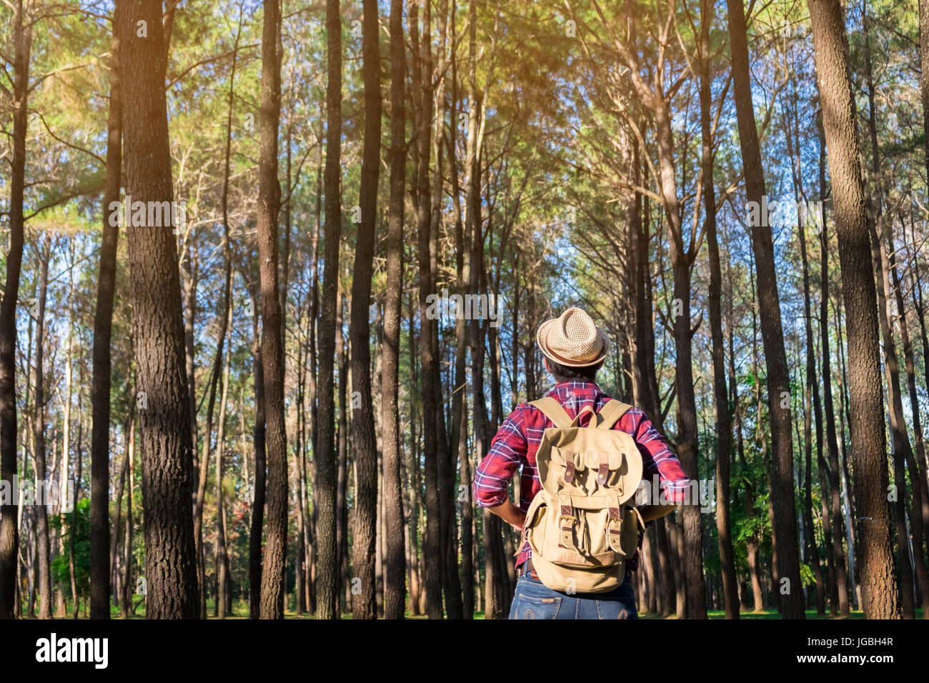 Young Man standing alone in forest outdoor with sunset nature on ...