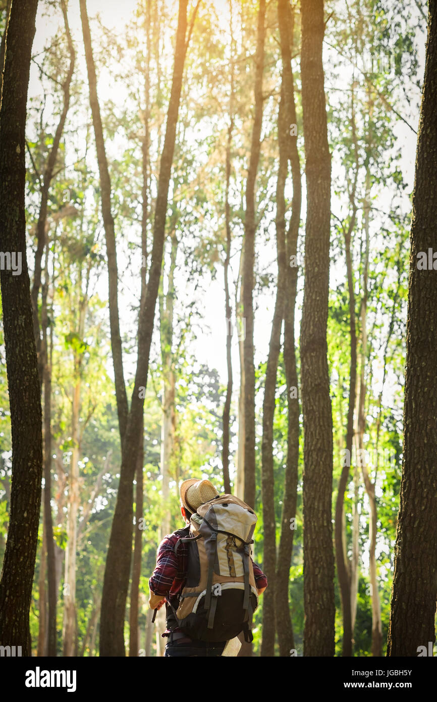 Young Man standing alone in forest outdoor with sunset nature on ...