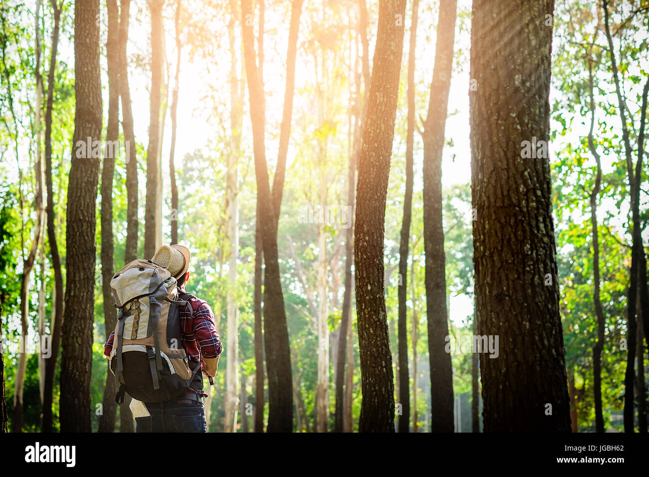 Young Man standing alone in forest outdoor with sunset nature on ...