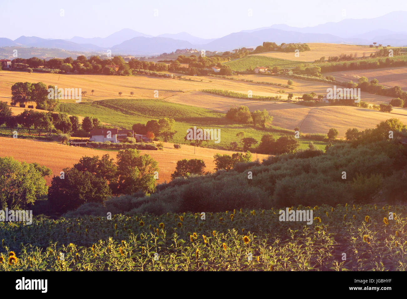 Background of italian countryside Stock Photo - Alamy