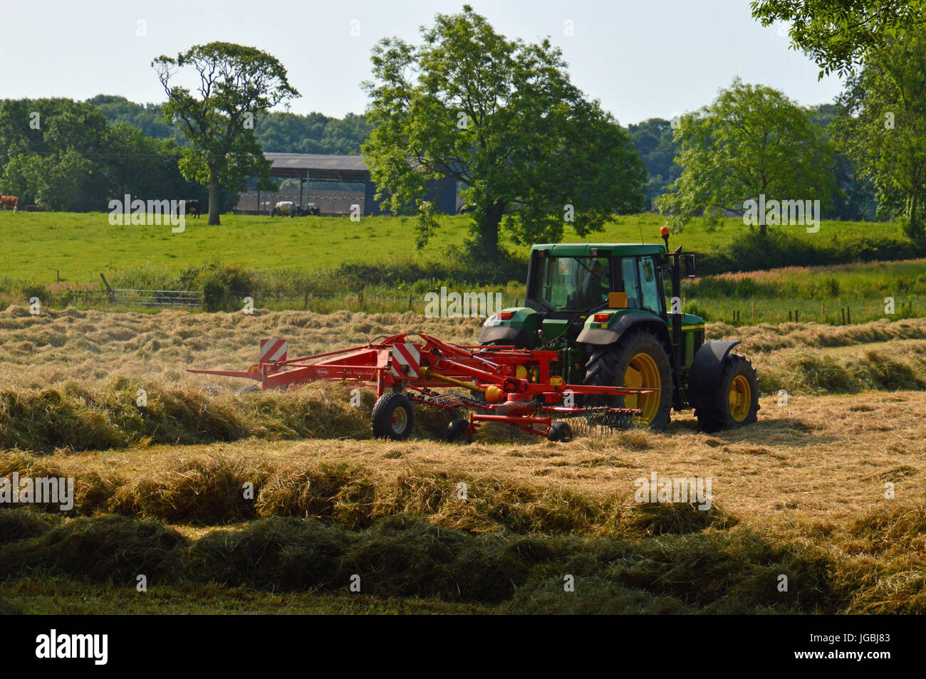 Farm tractor turning hay for harvest, Ceredigion, Wales Stock Photo - Alamy