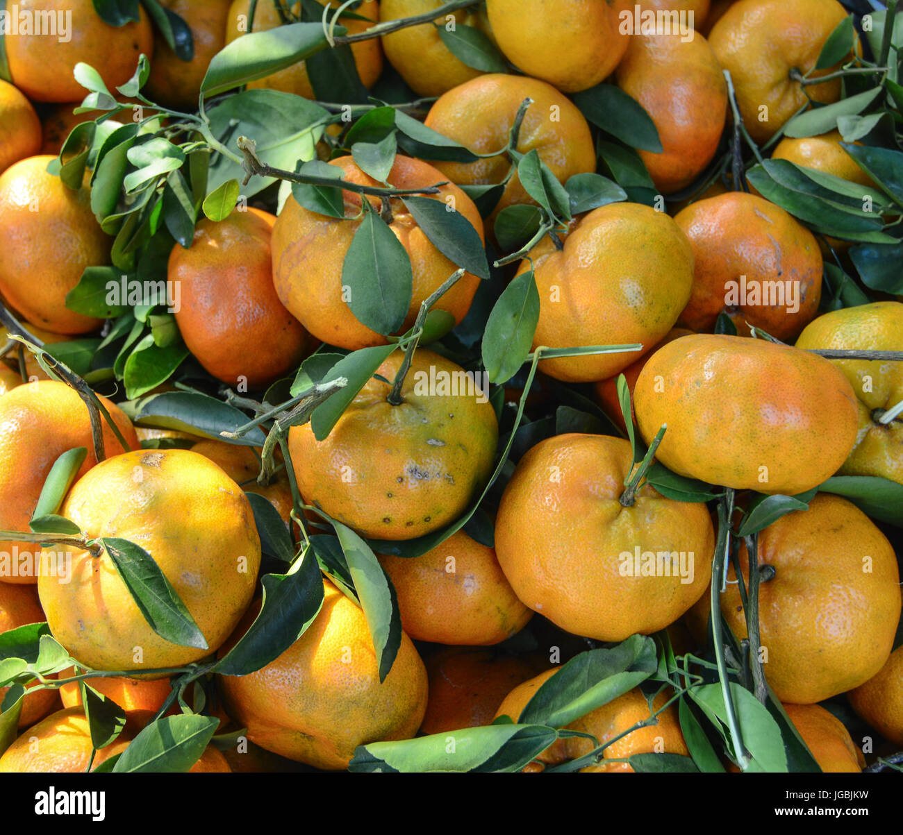 Fresh mandarin fruits at the market in Asia Stock Photo - Alamy