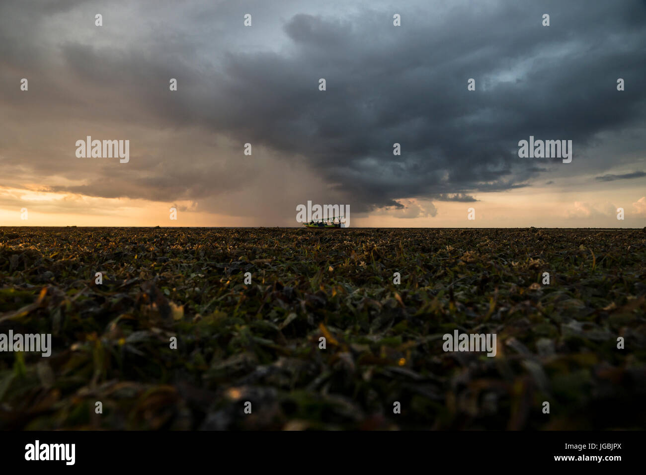 Seagrass landscape with raincloud at sunset Gili Air, Lombok, Indonesia ...