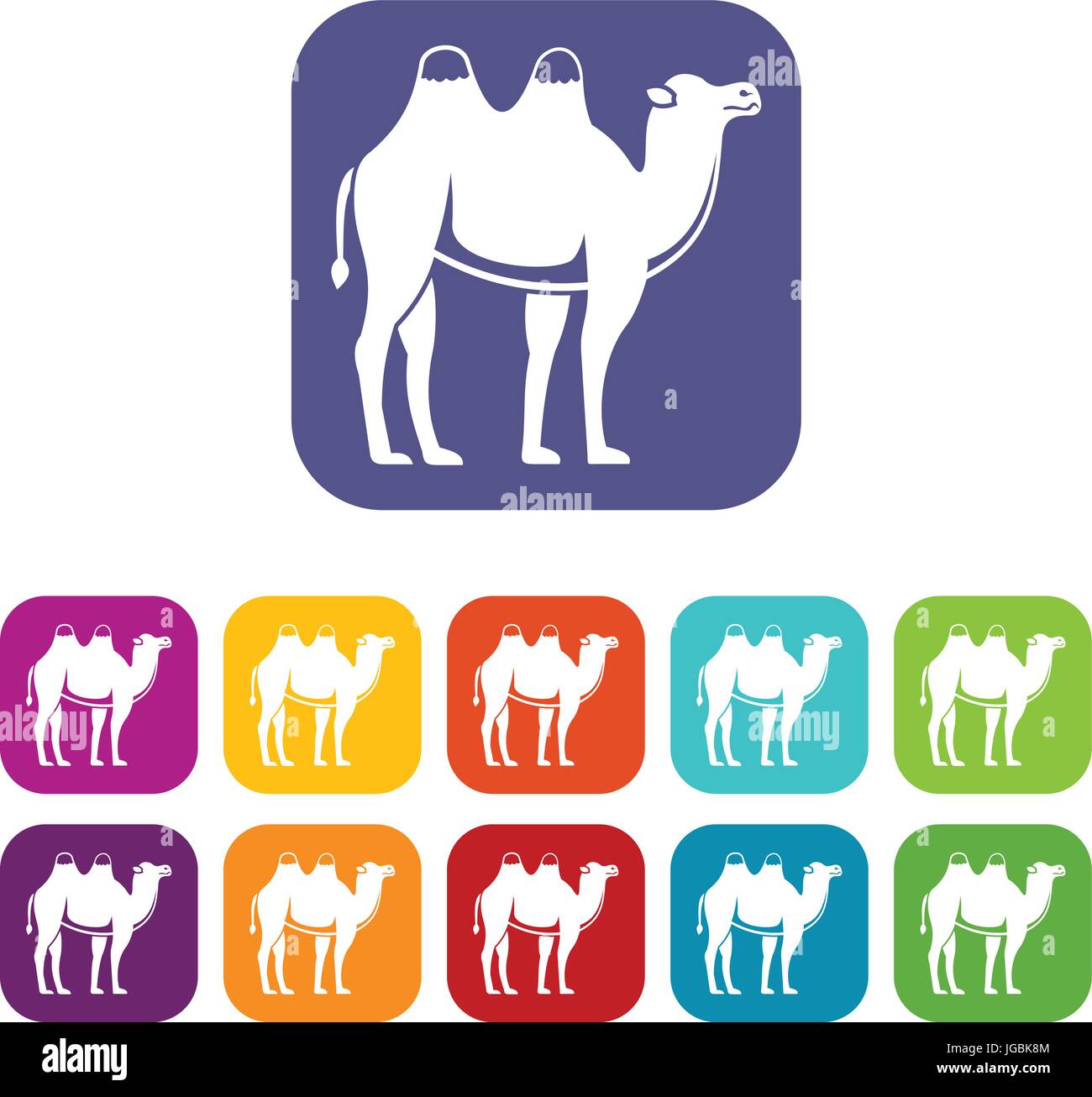 Camel Ride Dubai Stock Vector Images - Alamy