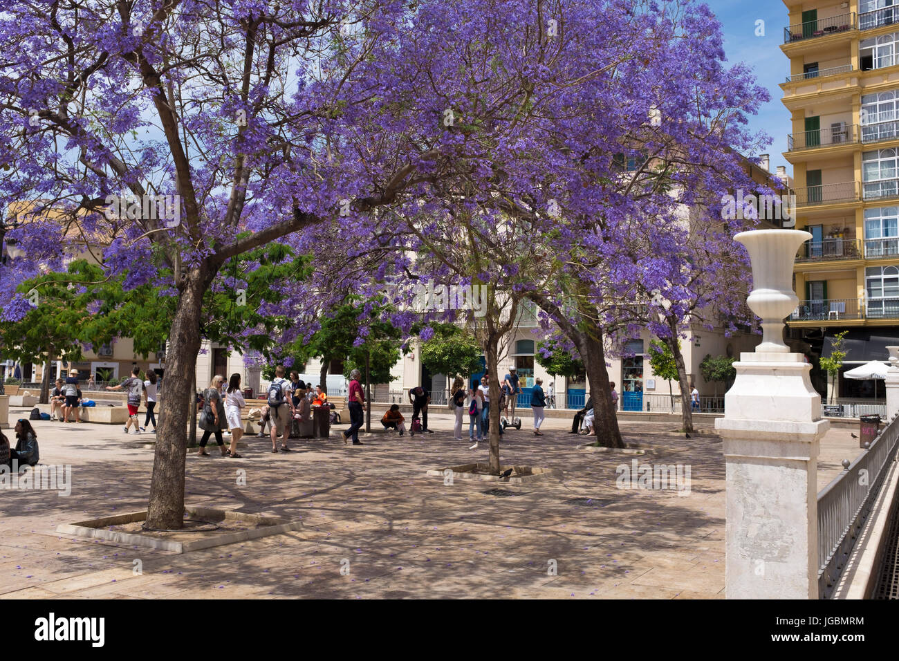 Jacaranda trees spain hi-res stock photography and images - Alamy