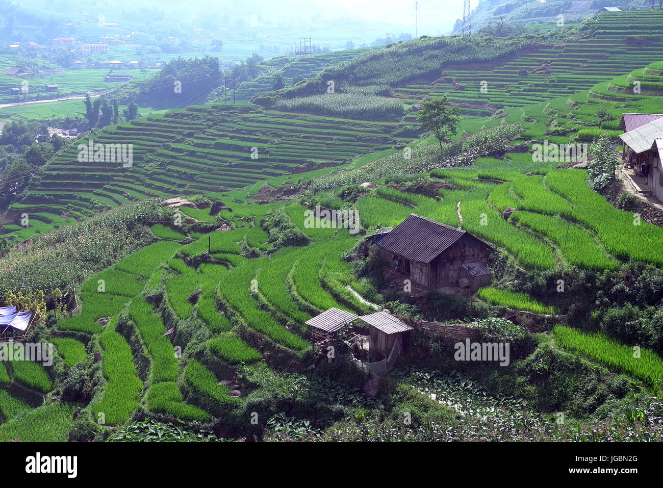 Sapa vietnam terrace high hi-res stock photography and images - Alamy