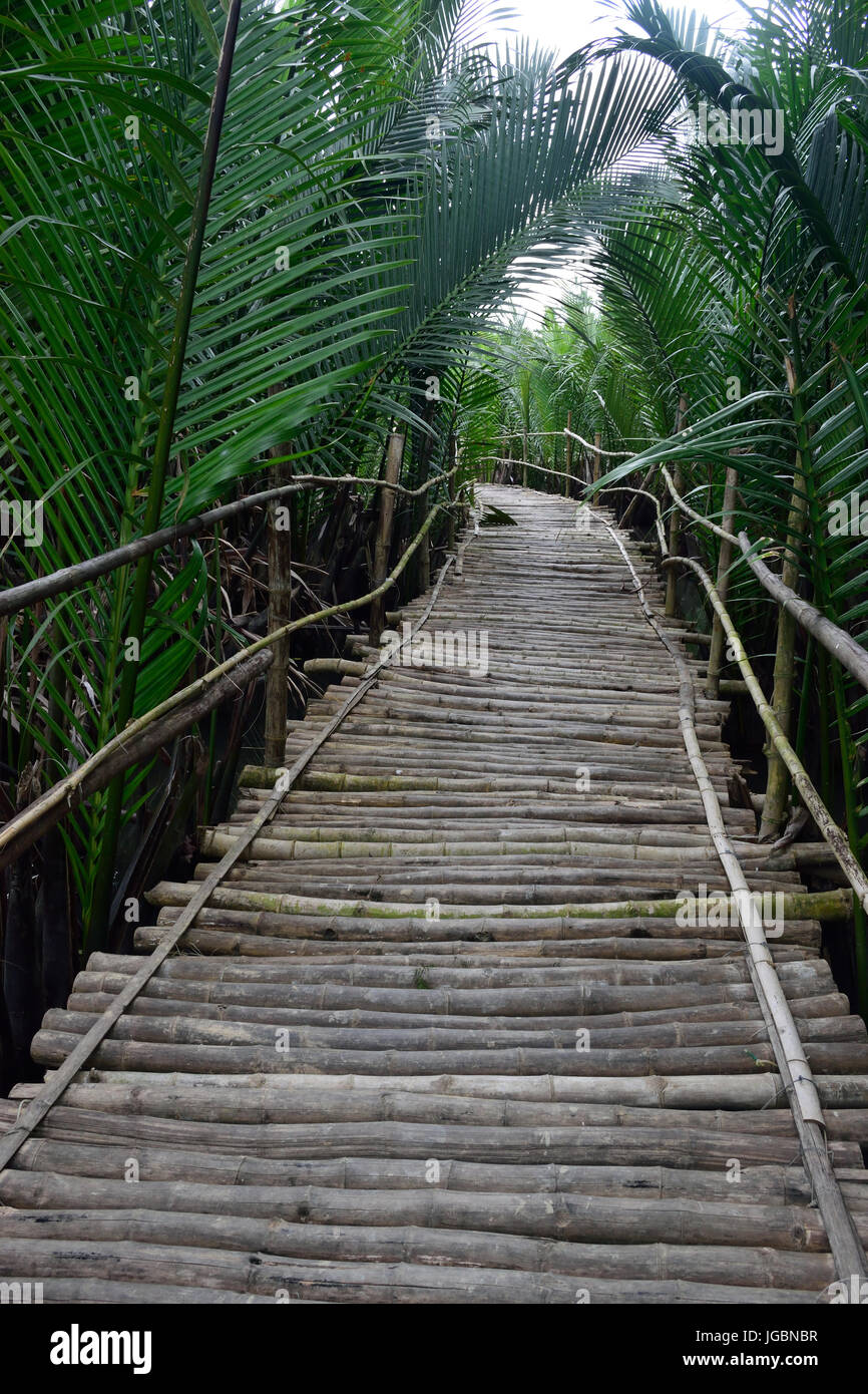 Vietnam bamboo bridge river hi-res stock photography and images - Alamy