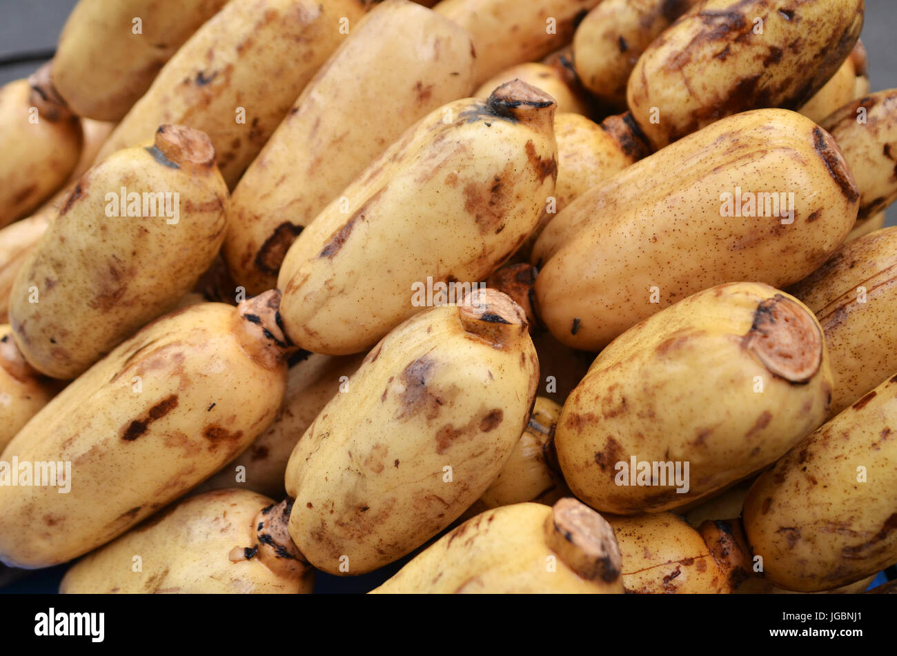 Fresh Lotus root or Water lily root in Thailand market Stock Photo - Alamy