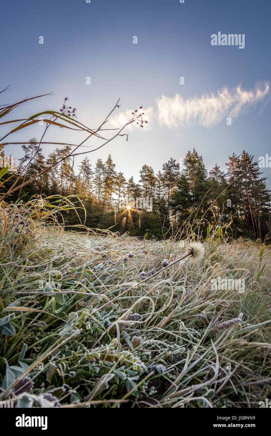 Inspiration horizontal hi-res stock photography and images - Alamy