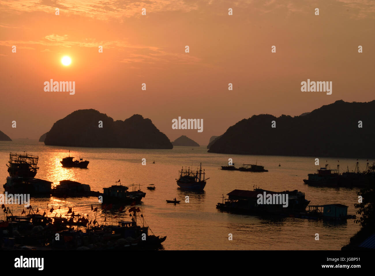 Cat ba island village hi-res stock photography and images - Alamy