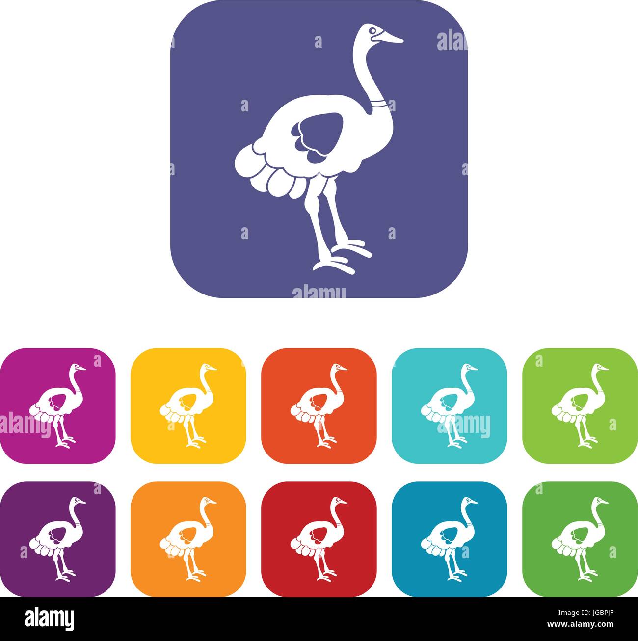 Ostrich icons set flat Stock Vector Image & Art - Alamy