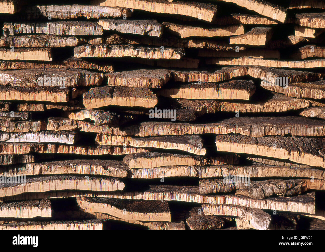 Calangianus, Sardinia. Cork working Stock Photo - Alamy