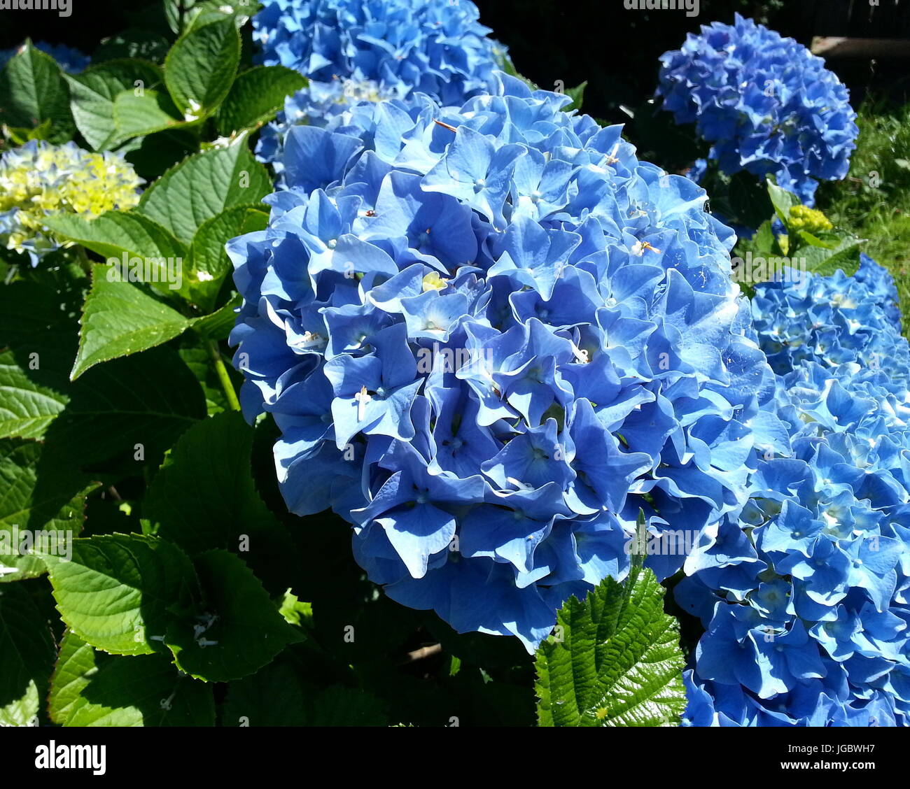 Blue intense sky hi-res stock photography and images - Alamy