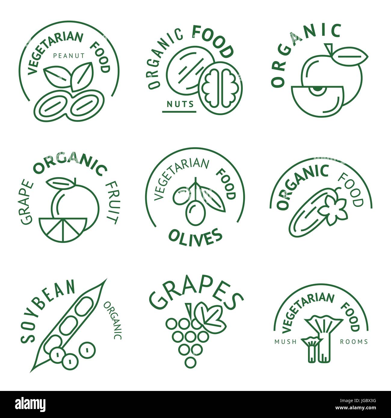 Digital vector green vegetable icons set infographics drawn simple line ...