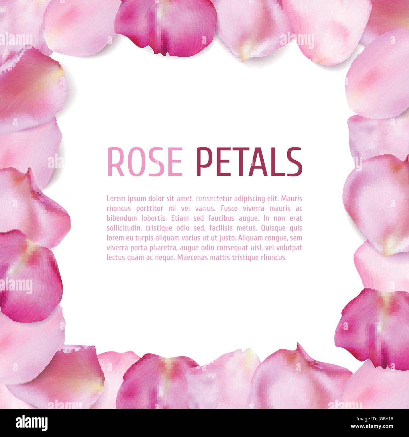 Rose petals frame Stock Vector Image & Art - Alamy
