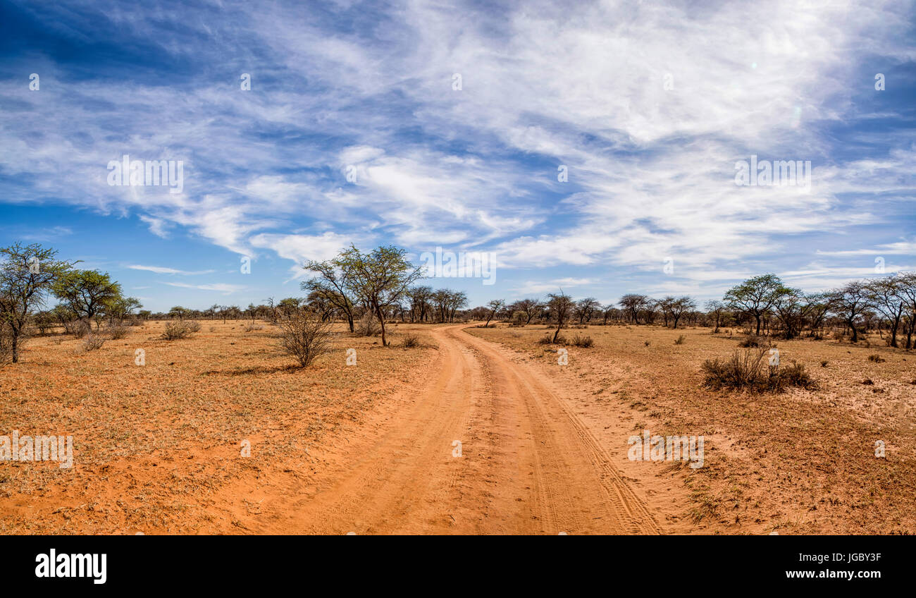 A savanna landscape in the Northern Cape, South Africa Stock Photo - Alamy
