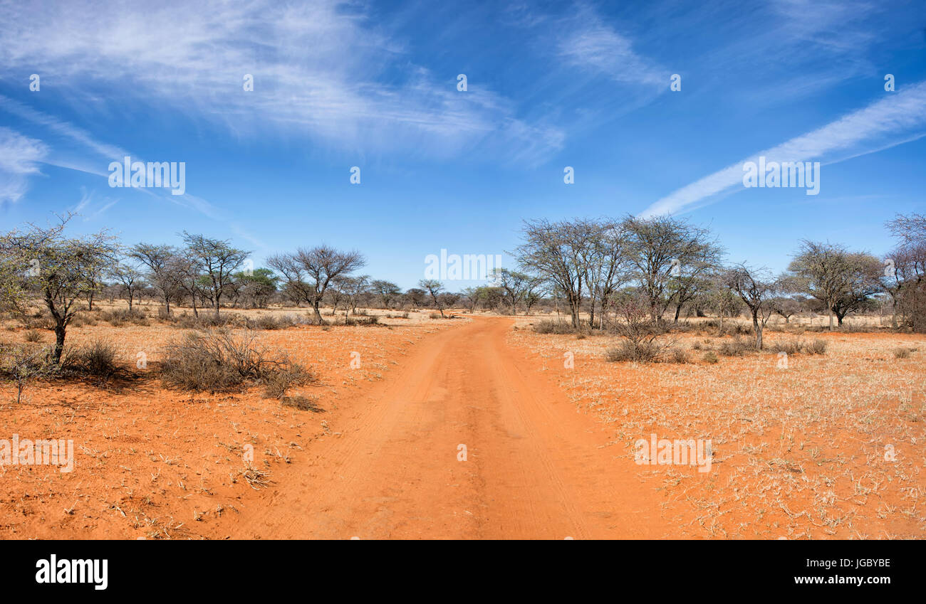 A savanna landscape in the Northern Cape, South Africa Stock Photo - Alamy