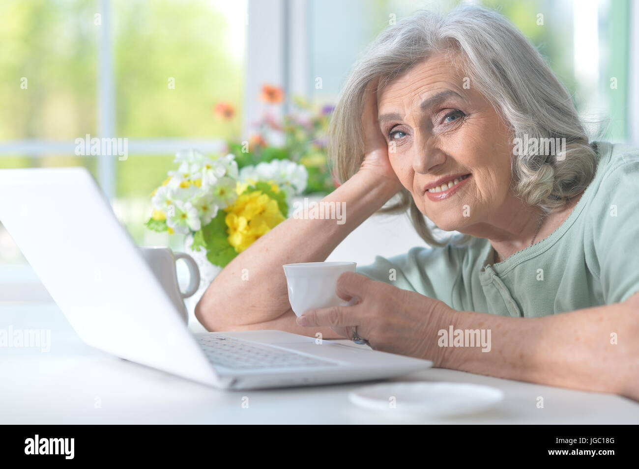 Beautiful old woman with a laptop Stock Photo - Alamy