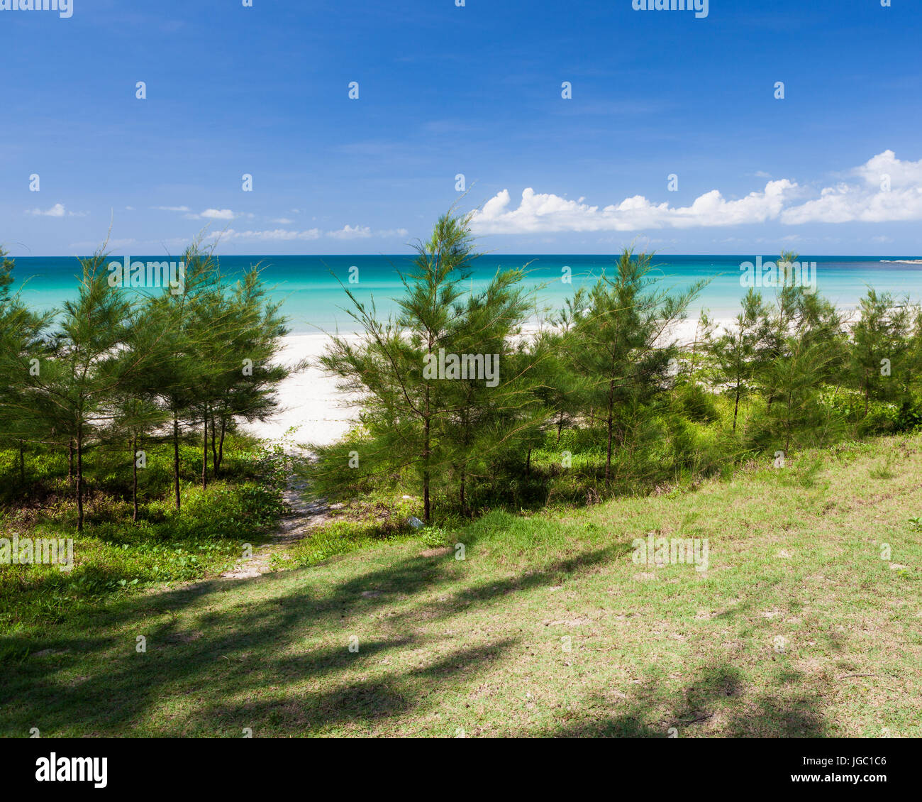 Path to empty paradise beach Stock Photo - Alamy