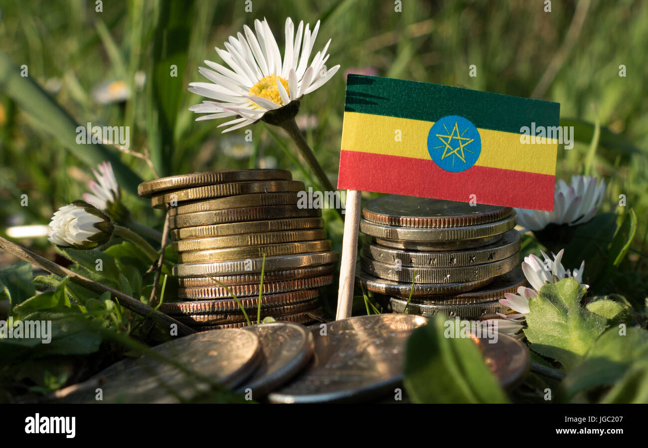 Ethiopian flag with stack of money coins with grass and flowers Stock ...