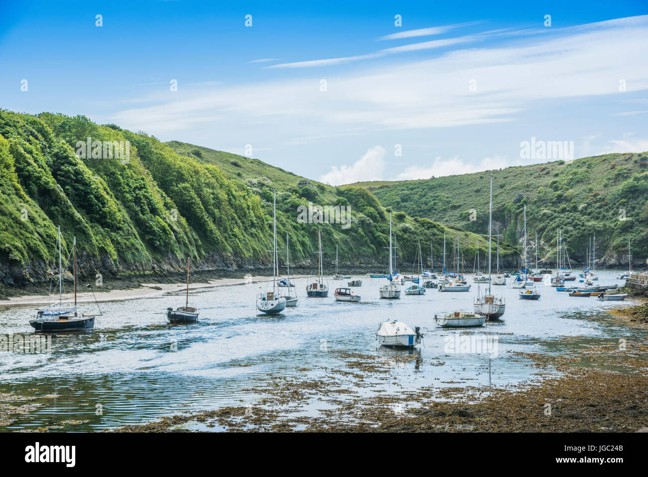 Outside the harbour of solva hi-res stock photography and images - Alamy