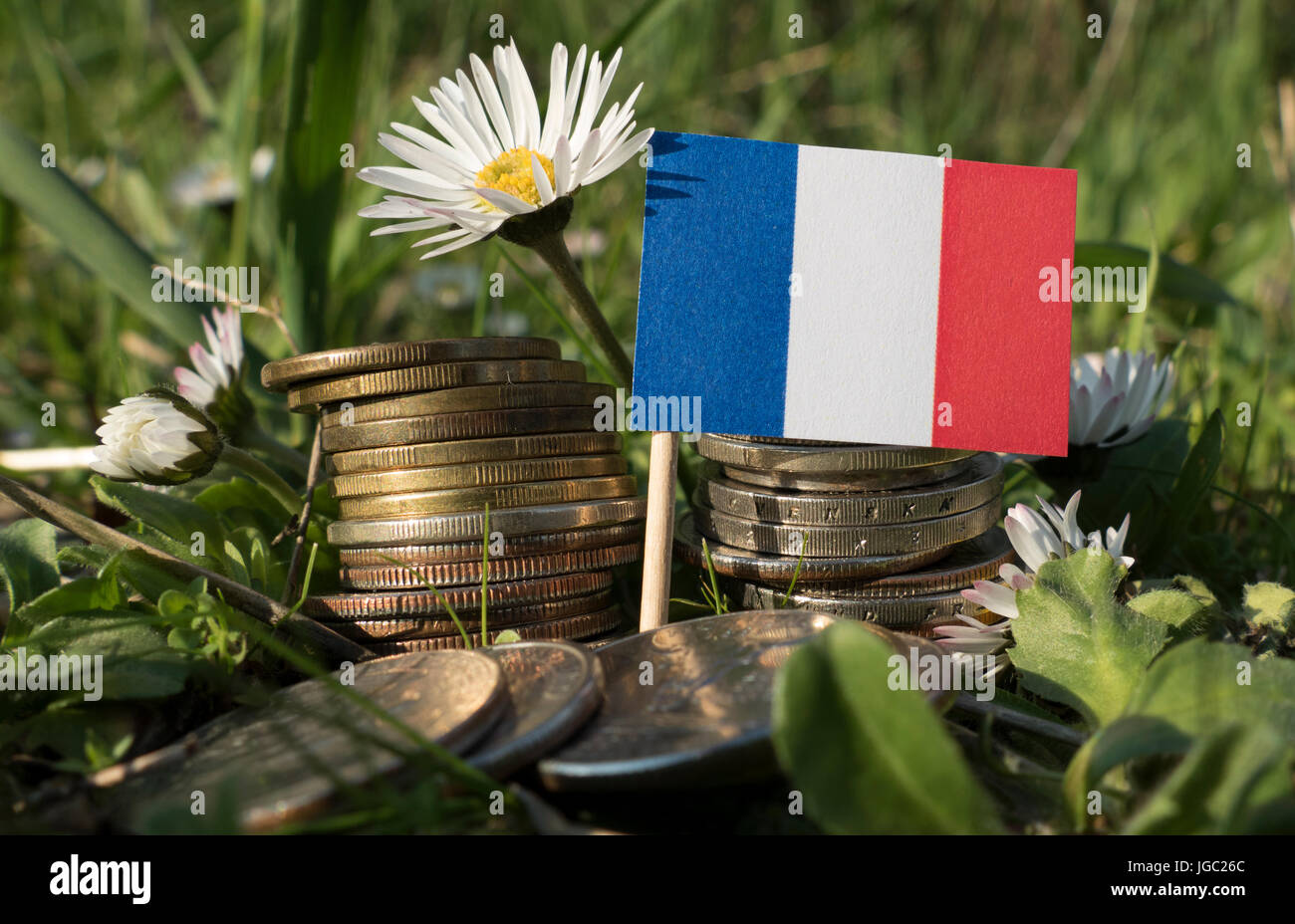 French flag with stack of money coins with grass and flowers Stock ...