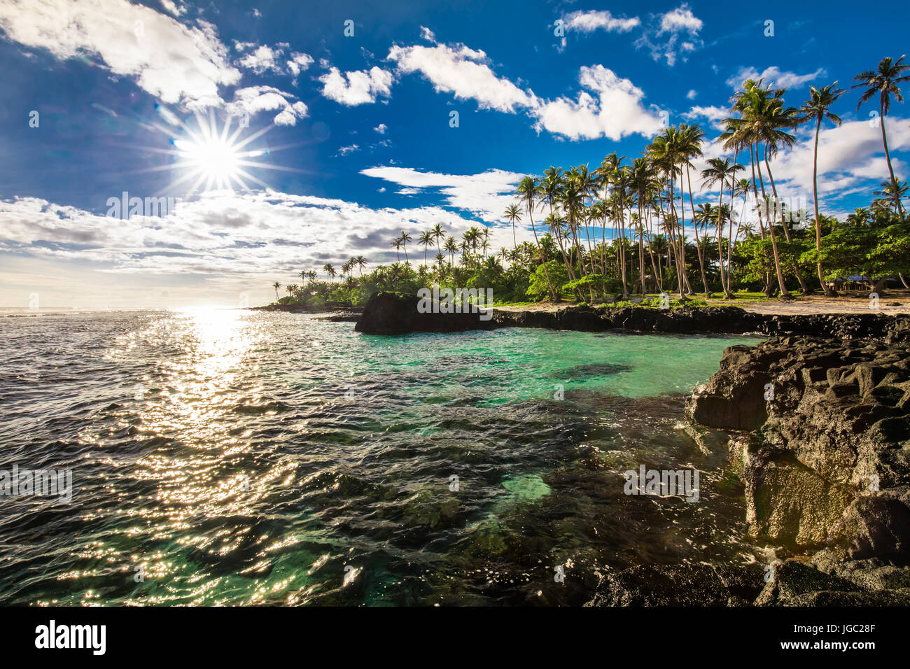 Coconut palm trees on the beach during the sunrise on Upolu, Samoa ...