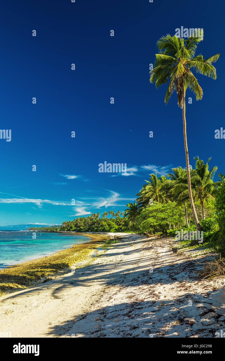 Natural vibrant tropical beach on south side of Samoa Island with many ...