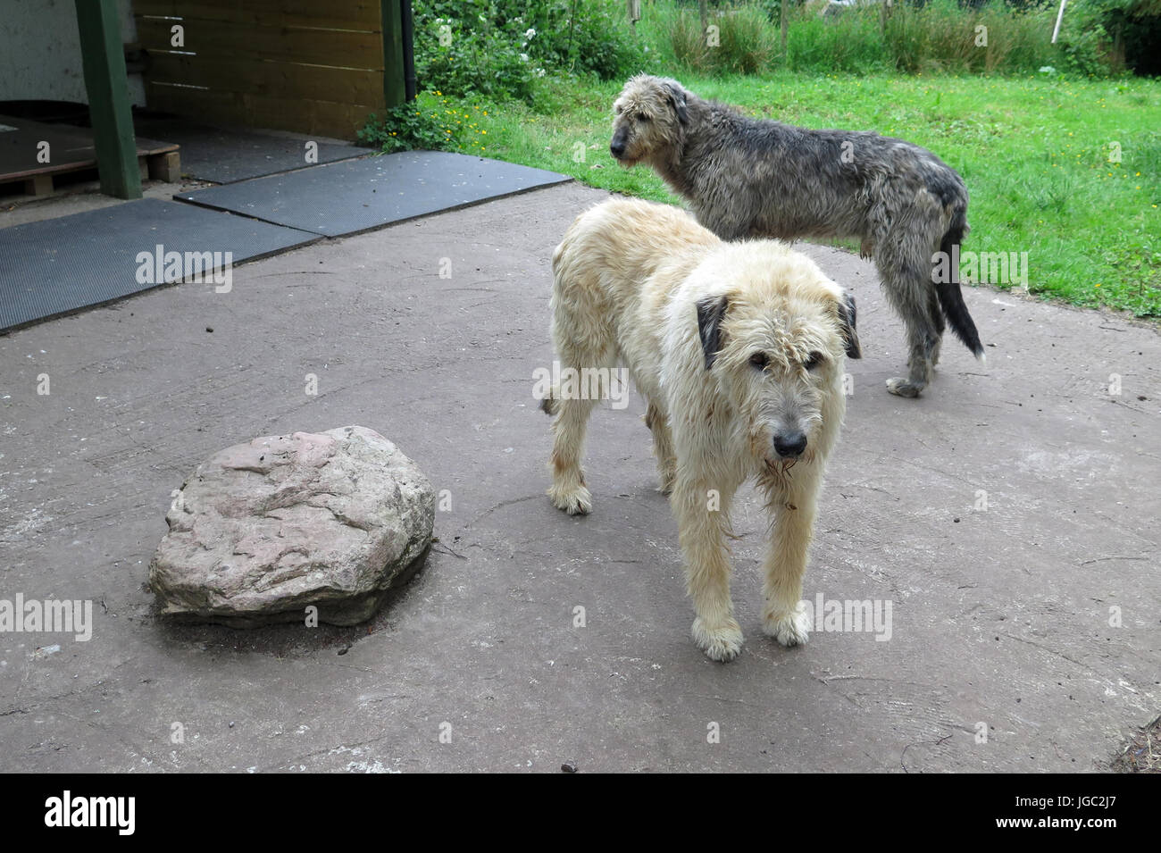 Kerry Bog Village, Republic of Ireland Stock Photo - Alamy