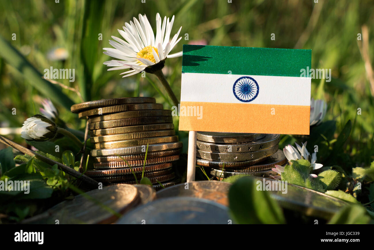 Indian flag with stack of money coins with grass and flowers Stock ...