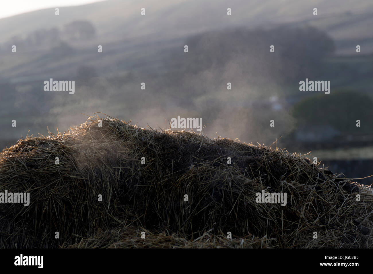 Pile Of Manure Steaming High Resolution Stock Photography and Images ...